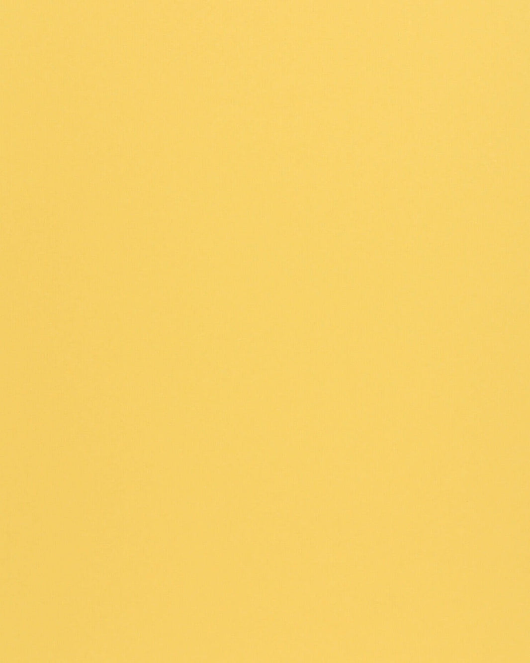 Yellow Cardstock Paper – Cardstock Warehouse