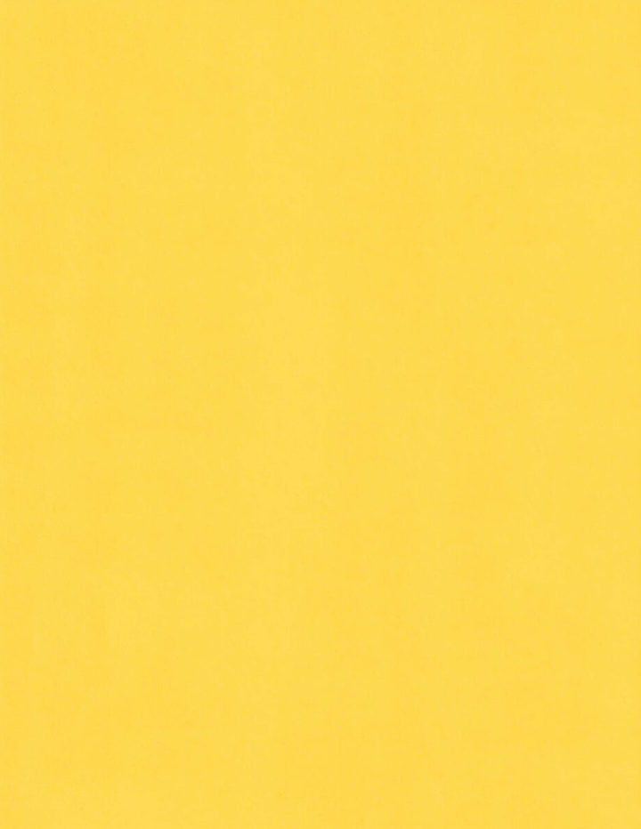 Matte Cardstock, Invitation & Scrapbook Paper – Page 3 – Cardstock ...