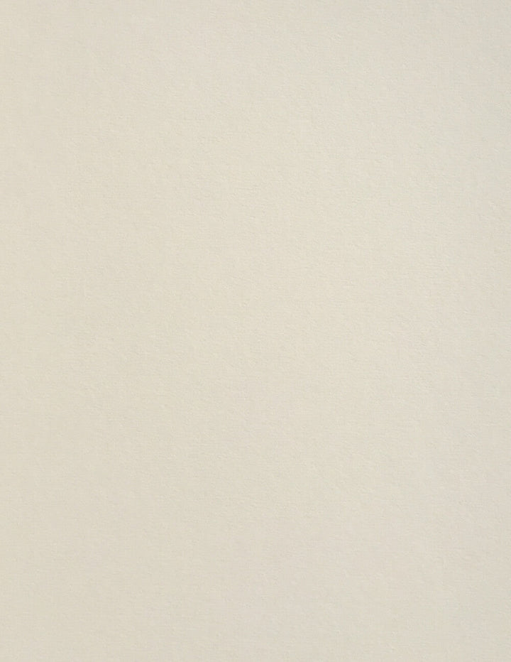 65lb Cardstock Paper Collection – Cardstock Warehouse