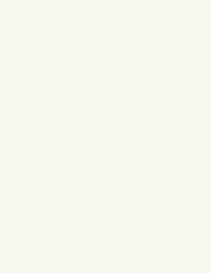 65lb Cardstock Paper Collection – Cardstock Warehouse