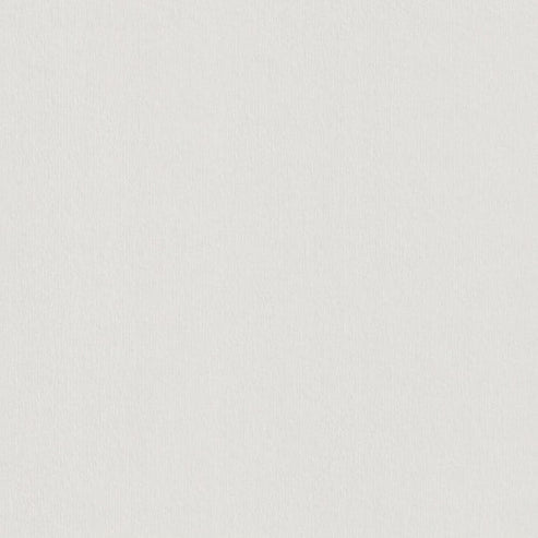 Pale Grey | Colorplan Cardstock – Cardstock Warehouse