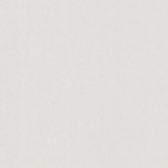 Pale Grey Colorplan Cardstock Paper | Premium Quality Solid Core ...