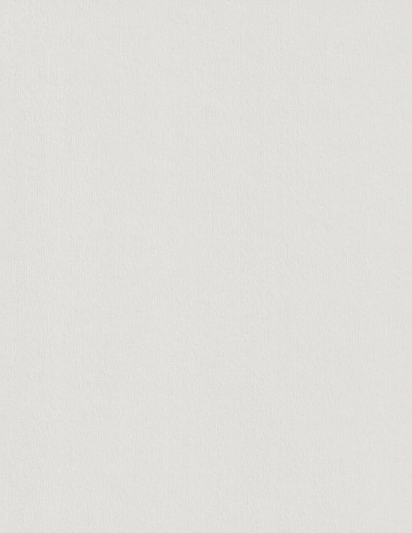 Pale Grey | Colorplan Cardstock – Cardstock Warehouse