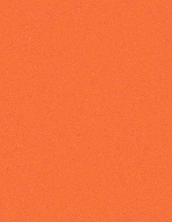 Sirio Color Cardstock Paper | Smooth Matte – Cardstock Warehouse