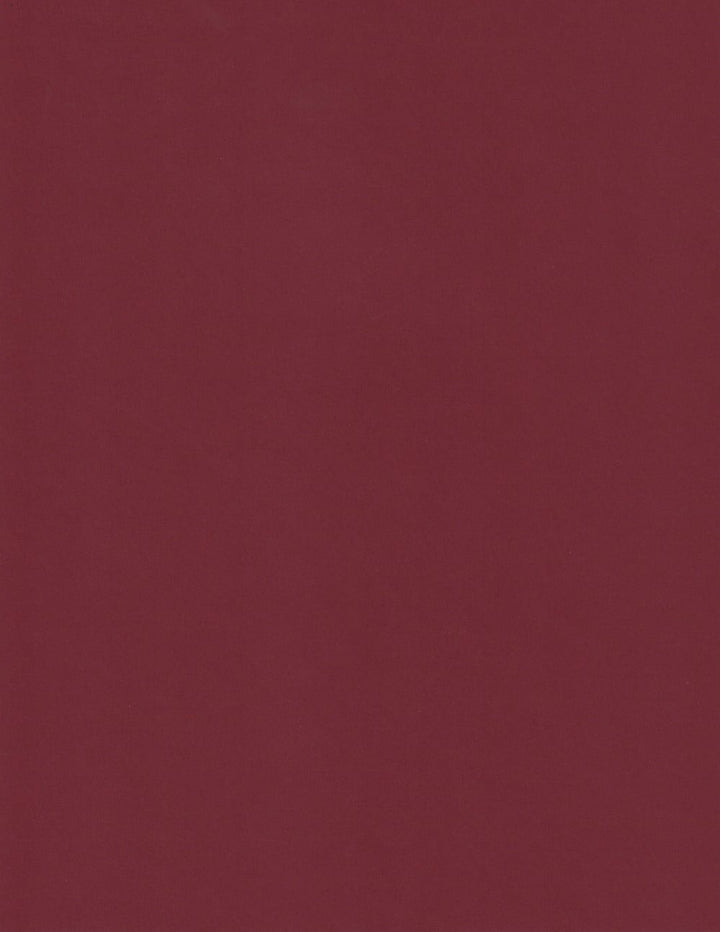 Sirio Color Cardstock Paper | Smooth Matte – Cardstock Warehouse