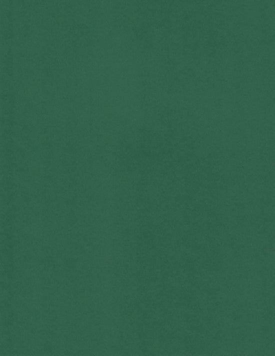 Sirio Color Cardstock | Samples | Premium 80 lb Cardstock Paper ...