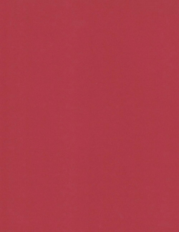 Sirio Color Cardstock Paper | Smooth Matte – Cardstock Warehouse
